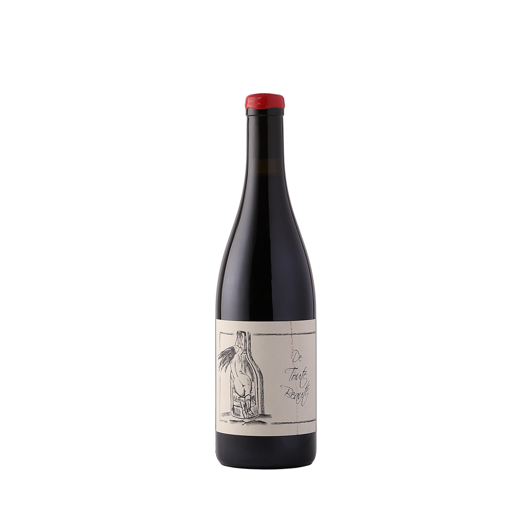 Anne et Jean-François Ganevat De Toute Beauté Nature 2020 - Red Wine ...