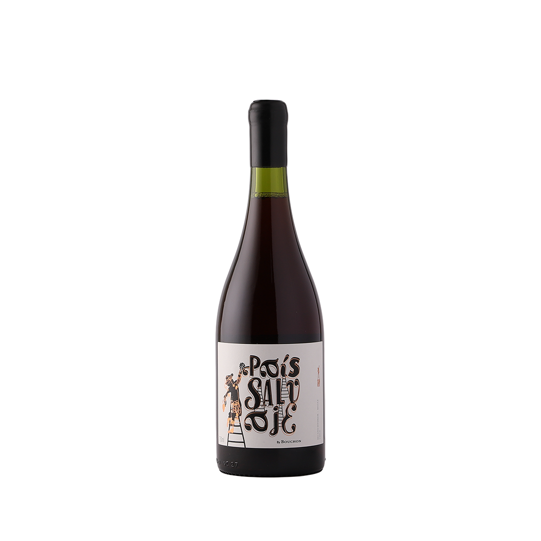 Bouchon Salvaje Pais 2022 - Red Wine | Blackhearts and Sparrows